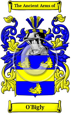 O'Bigly Name Meaning, Family History, Family Crest & Coats of Arms