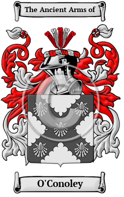 O'Conoley Name Meaning, Family History, Family Crest & Coats of Arms