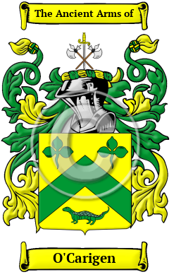 O'Carigen Name Meaning, Family History, Family Crest & Coats of Arms