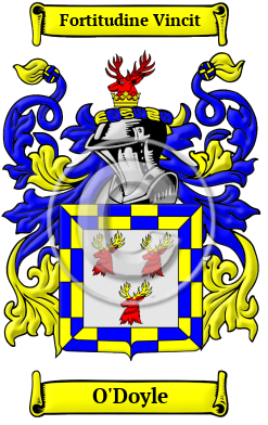 O'Doyle Name Meaning, Family History, Family Crest & Coats of Arms