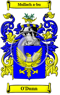 O'Dunn Name Meaning, Family History, Family Crest & Coats of Arms