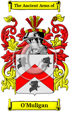 O'Muligan Name Meaning, Family History, Family Crest & Coats of Arms